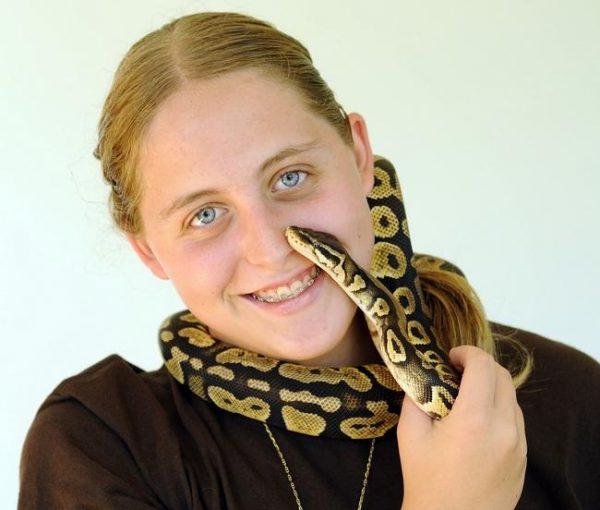 About Reptile Shows of New England | Reptile Shows of New England