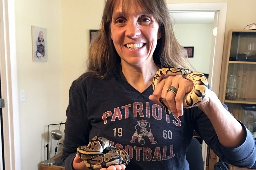 Snake-1 | Reptile Shows of New England