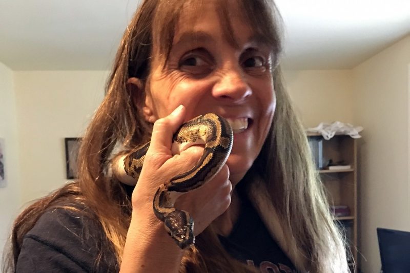 How to Conquer your Fear of Snakes | Reptile Shows of New England