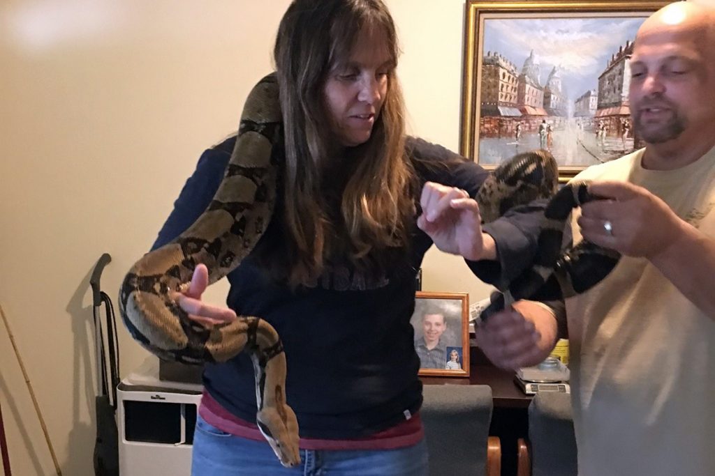 Snake-7 | Reptile Shows of New England