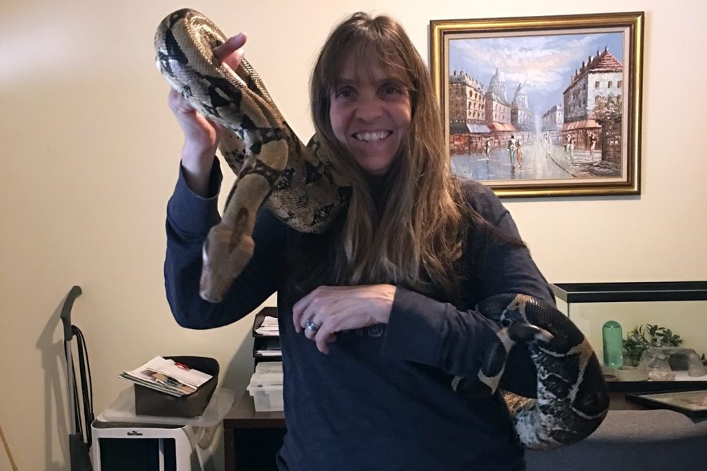 Snake-9 | Reptile Shows of New England