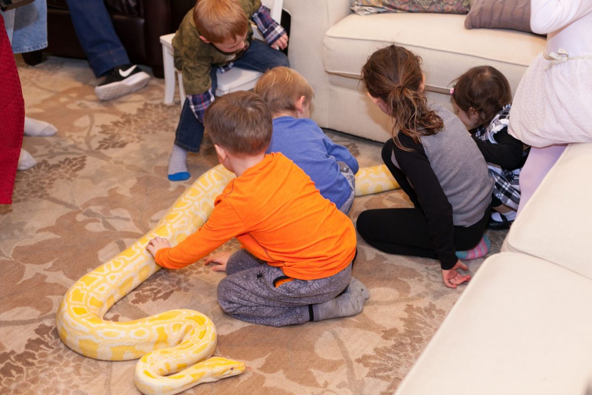 Reptile Handler | Reptile Shows of New England
