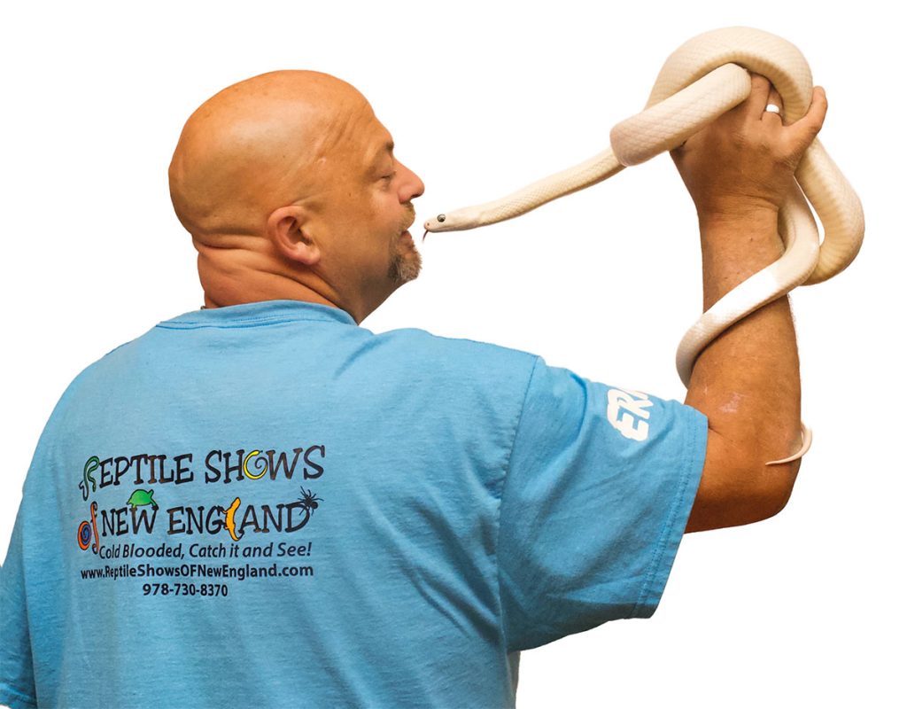Reptile Shows of New England | Reptile shows in Massachusetts and New ...