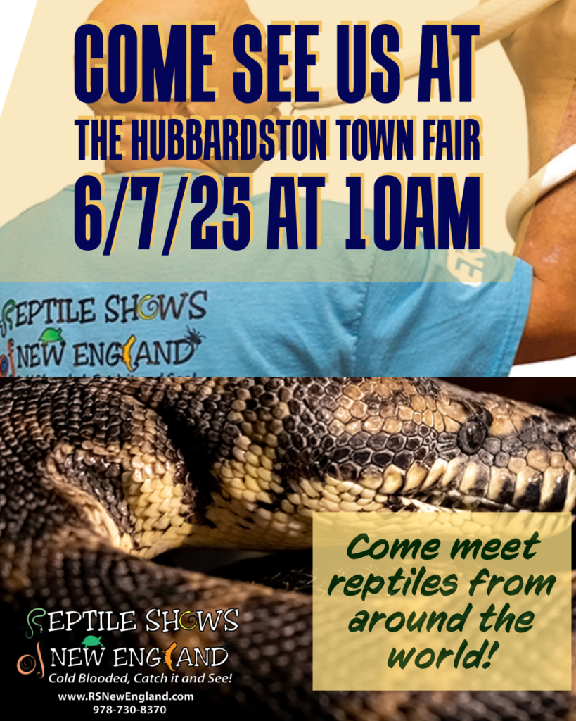 Hubbardston Fair – Saturday June 7, 2025 9AM – 2:00PM | Reptile Shows ...
