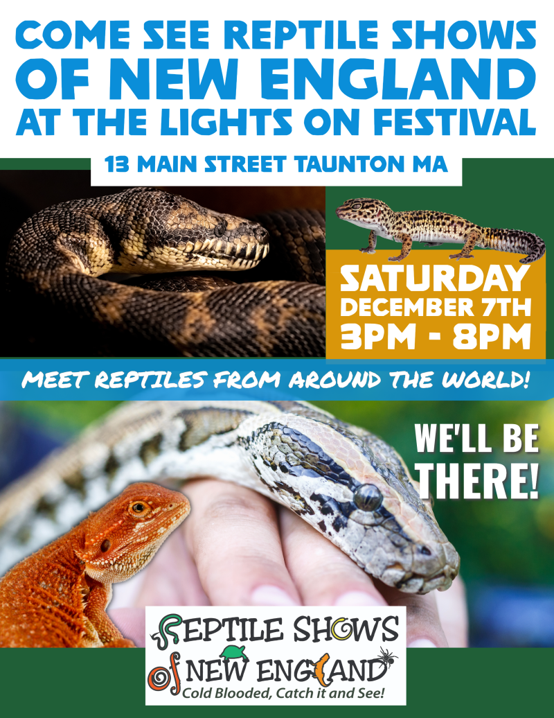 Reptile Shows of New England | Reptile shows in Massachusetts and New ...